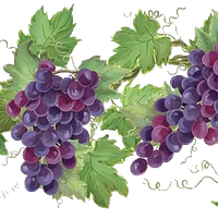 RLC PROP MAPS by DAVE6912 | Photobucket