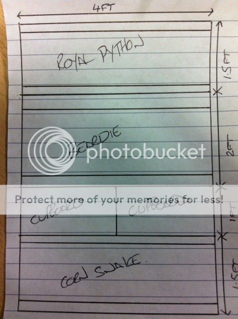 Wood Cuts for Viv stack | Reptile Forums