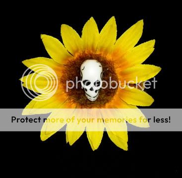 minisunflowerskulllrg